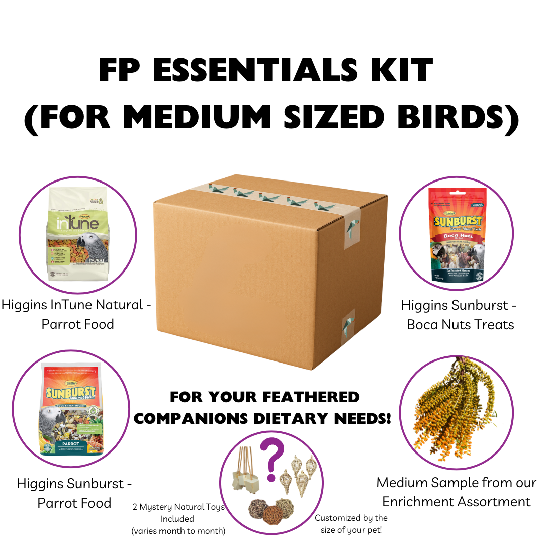 FP Parrot Pack Medium – Florida Parrot